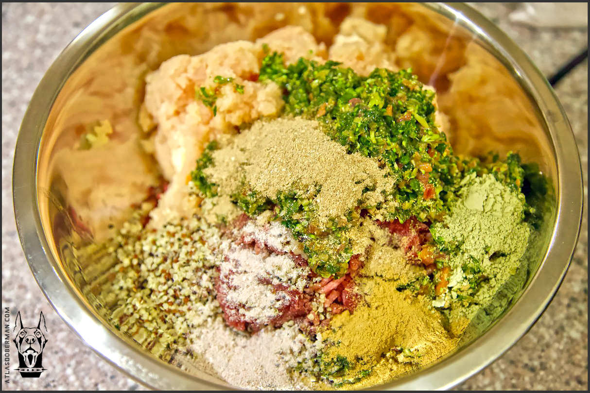 Introducing Our Doberman to a Homemade Raw Food Diet – ATLAS' Den