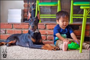 Are Dobermans Good With Children? – ATLAS' Den